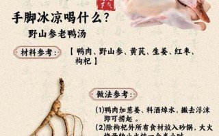老鸭汤的功效与作用_孕妇可以吃吗
