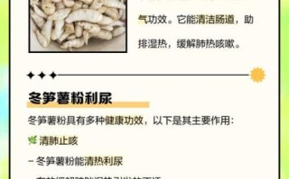 薯粉的功效与作用_薯粉怎么吃最健康