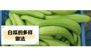 白瓜是什么瓜_白瓜和冬瓜的区别