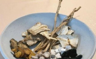 八物汤和八珍汤的区别_哪个更适合气血不足