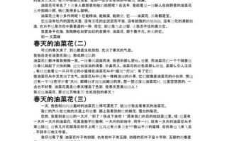 油菜花作文怎么写_油菜花作文500字范文