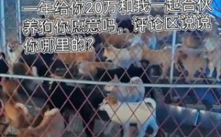肉狗养殖利润与成本_肉狗养殖赚钱吗