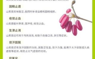山茱萸的功效与作用_山茱萸主治什么病