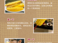 玉米煮20分钟熟了吗_如何判断玉米是否熟透