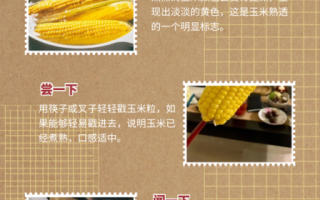 玉米煮20分钟熟了吗_如何判断玉米是否熟透