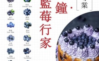 蓝莓果图片_蓝莓果怎么挑选