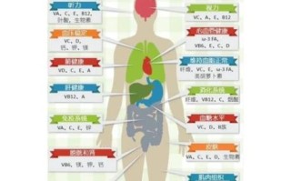 饮食与健康的关系_如何通过饮食改善健康