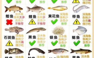 鳕怎么读_鳕鱼的正确发音