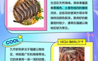 九节虾和黑虎虾的区别_哪个更好吃