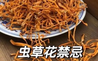 虫草花是凉性还是热性_食用禁忌与体质搭配