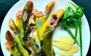 黄辣丁鱼鱼汤怎么做_黄辣丁鱼鱼汤的做法大全集