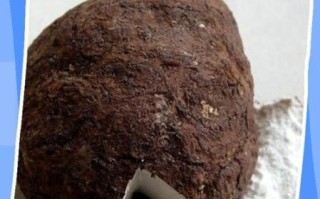 茯苓长什么样_如何辨别真假茯苓