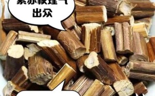 苏梗的功效与作用及禁忌_孕妇能吃苏梗吗