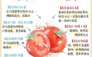 吃小番茄能减肥吗_小番茄减肥原理