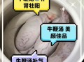 牛鞭汤的做法_牛鞭汤的功效与禁忌