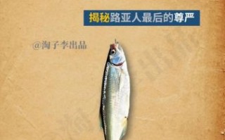 白条是什么_白条怎么用