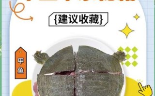 杀甲鱼最忌讳什么_甲鱼怎么杀才正确