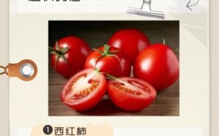 提高免疫力的食物有哪些_吃什么增强抵抗力