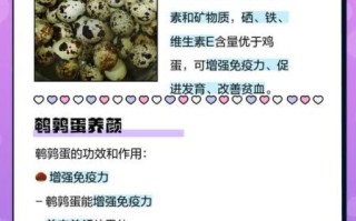 鹌鹑蛋热量是多少_减肥能吃吗