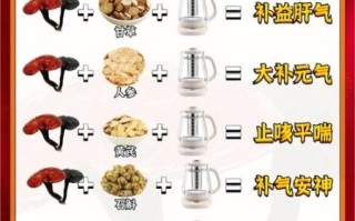 灵芝片怎么吃_灵芝片一天吃多少合适