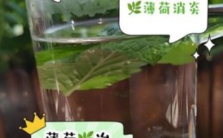 薄荷叶泡水喝的功效与禁忌_薄荷叶怎么保存才新鲜