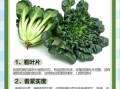 黑白菜怎么炒好吃_黑白菜营养价值