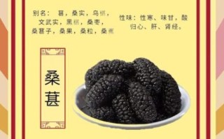 桑椹的功效与作用_桑椹的副作用有哪些