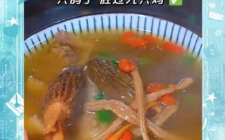 清炖鸽子汤怎么炖最有营养_清炖鸽子汤怎么做好吃