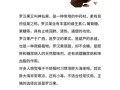 罗汉果哪些人不能喝_罗汉果副作用禁忌