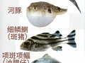 海鱼种类大全_常见海鱼名称图片