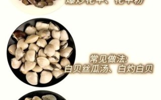 麻蛤和花蛤的区别_哪个更好吃
