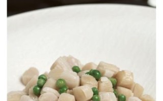 干贝怎么泡发_干贝泡发需要多久