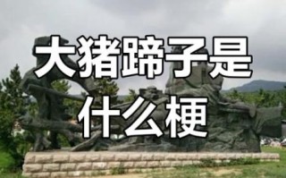 大猪蹄子是什么意思_女生说男生大猪蹄子暗示什么