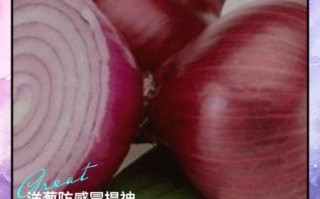 洋葱的功效与作用禁忌_生吃洋葱会上火吗