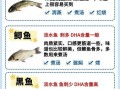 孕妇吃什么鱼对胎儿好_孕妇最适合吃的六种鱼