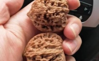 年轻人为什么不要玩核桃_玩核桃有什么坏处