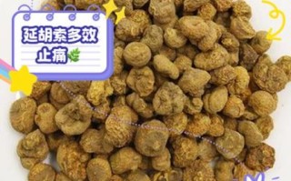 延胡索的功效与作用及用量_延胡索一天吃多少克