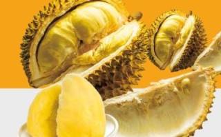 榴莲app最新下载网址在哪里_如何安全获取安装包