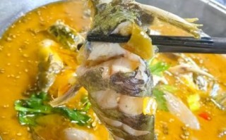 酸菜黄辣丁鱼怎么做_黄辣丁鱼要不要先煎