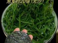腌海带丝怎么保存_腌海带丝的做法大全