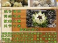 雪莲花的功效与作用_雪莲花的功效与作用图片
