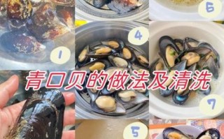 青口贝内脏是哪一部分_青口贝内脏可以吃吗