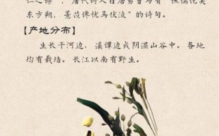 薏米仁的功效与作用及食用方法_薏米仁怎么吃最祛湿