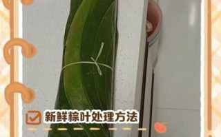 粽叶怎么做好吃_粽叶怎么处理才香