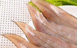 踏板鱼是什么鱼_踏板鱼多少钱一斤