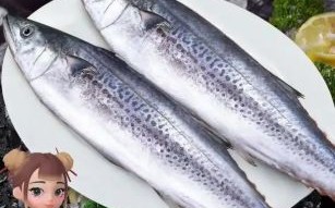 蓝点马鲛鱼多少钱一斤_蓝点马鲛鱼价格行情