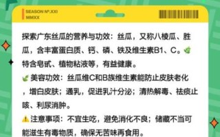 广东丝瓜的功效与作用是什么_广东丝瓜怎么吃最养生