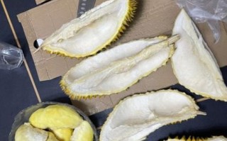 旧版榴莲app怎么下载_旧版榴莲app还能用吗