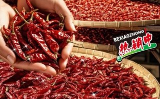 干辣椒怎么保存_干辣椒能放多久