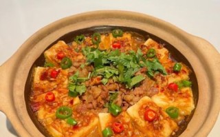 砂锅豆腐的做法大全_砂锅豆腐怎么做好吃
